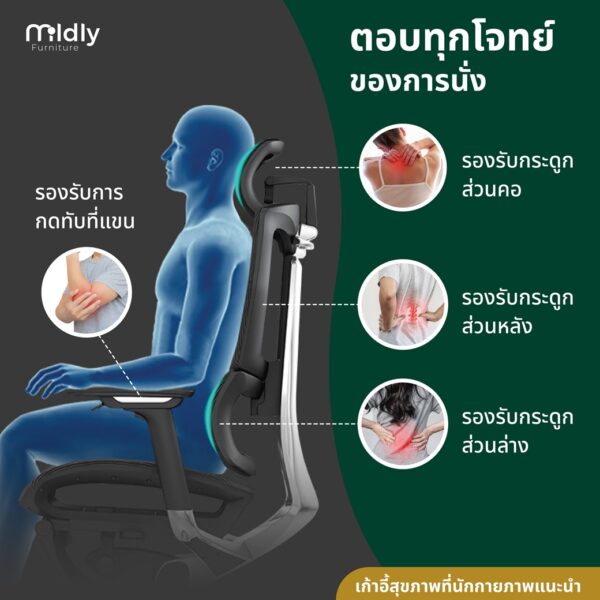 เก้าอี้ออฟฟิศสุขภาพ Mildly ลดอาการเจ็บกระดูกสันหลัง No.1เรื่องสุขภาพ